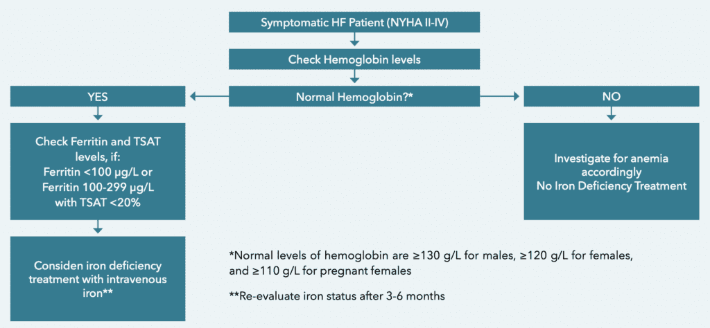Screening and Diagnosis of Iron Deficiency in Heart Failure Patients